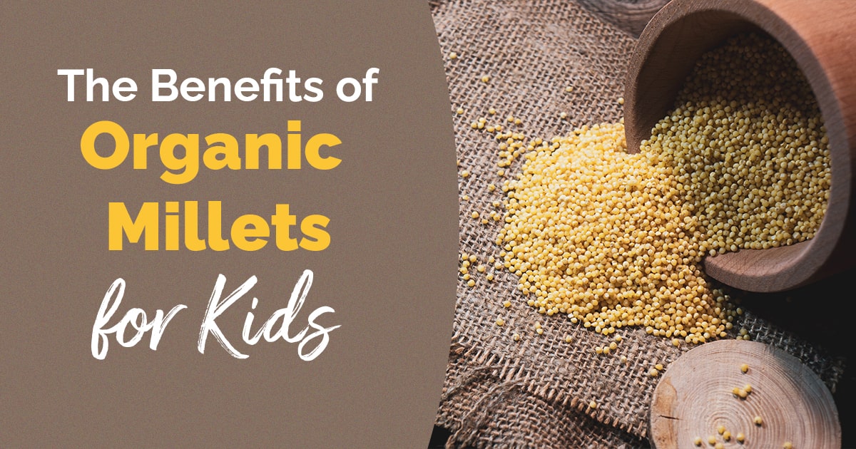 The Benefits of Organic Millets for Kids – Nutriorg