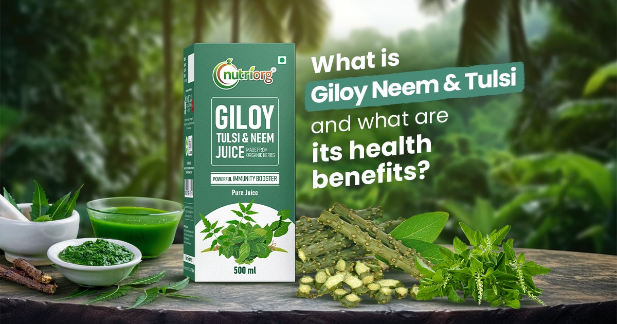 What are Giloy Neem & Tulsi, and What Are Their Health Benefits? – Nutriorg